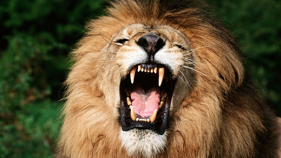 ADJECTIVES | Genially