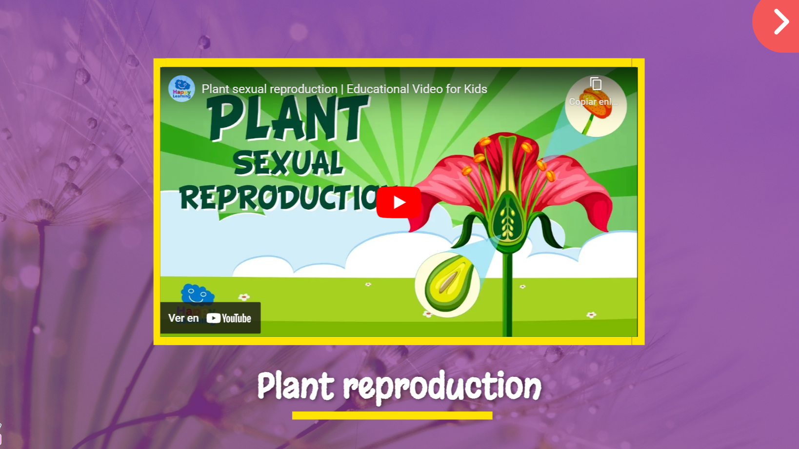 Unit 1 - Plants | Elena Rodrigo Cassidy | EducaMadrid