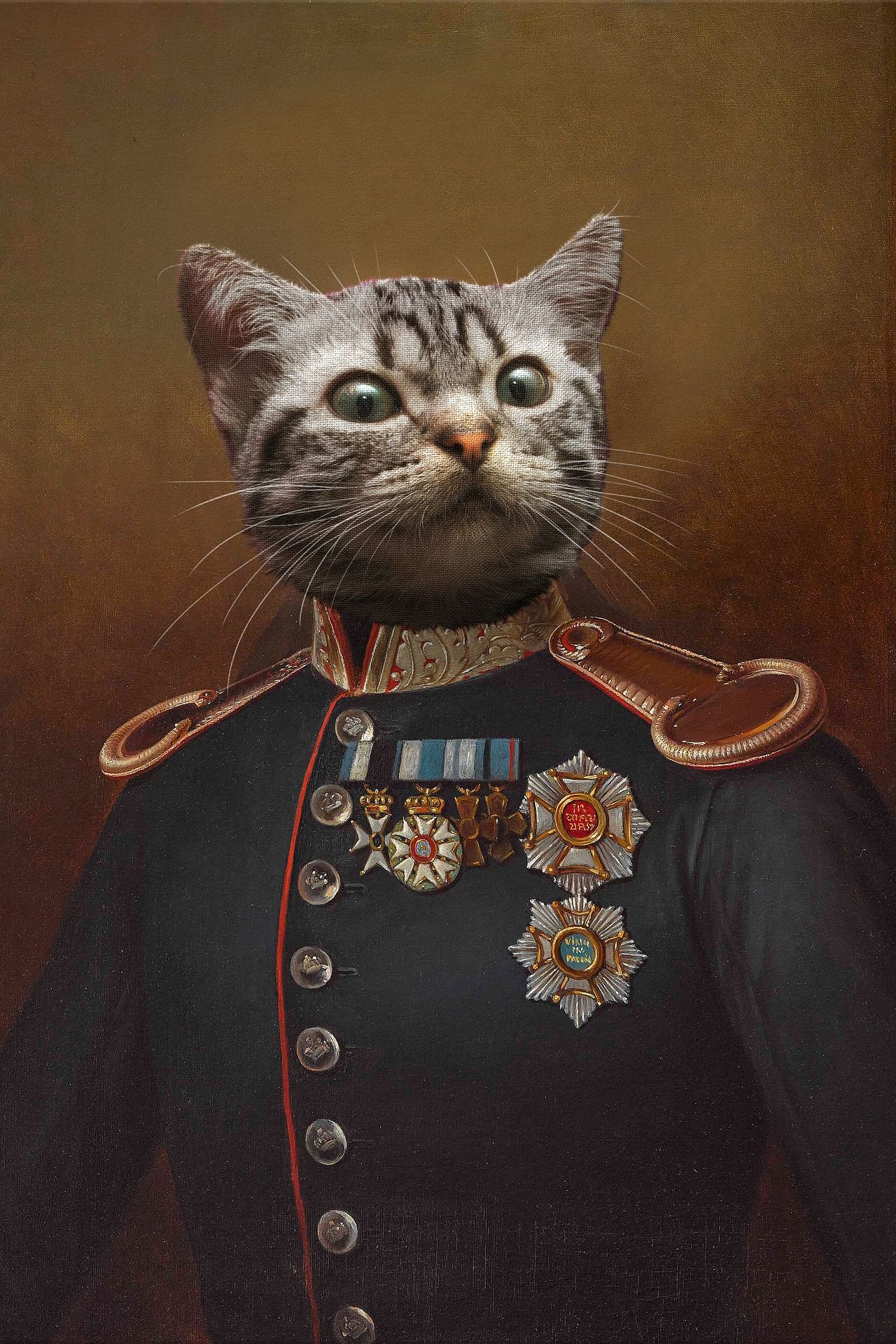 El reglamento | Genially