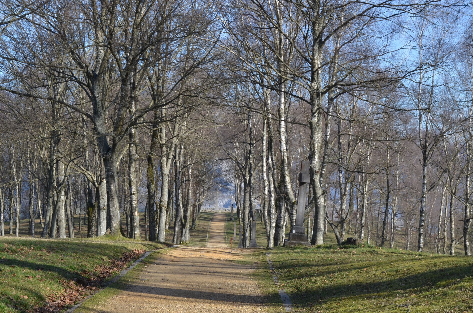 CENIZA 22 | Genially