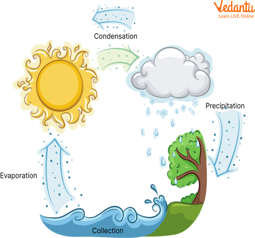 Water cycle | Genially