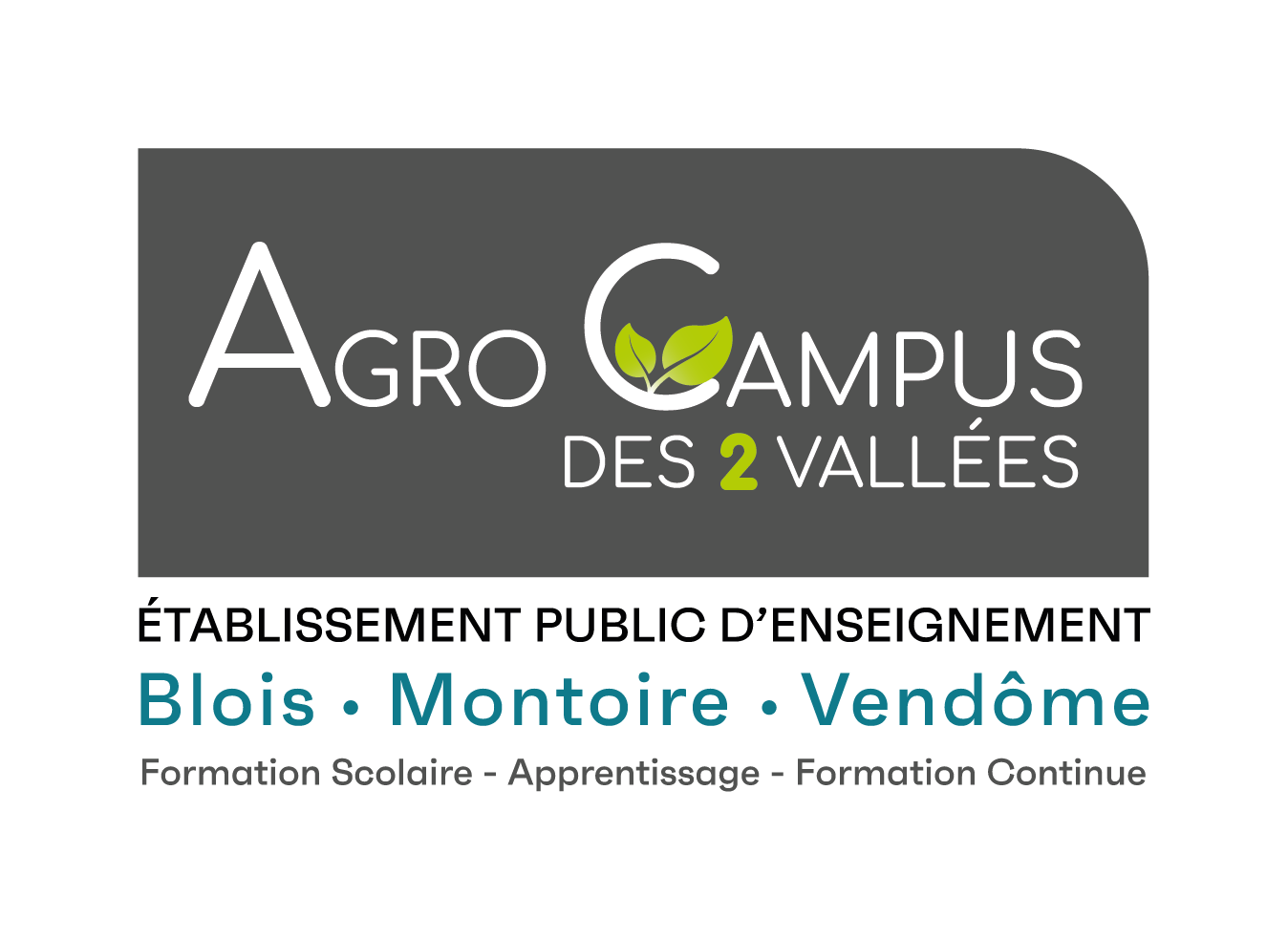 Commission CDI 2024-25 | Genially