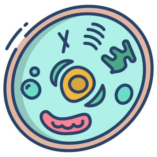 MEMBRANA CELULAR | Genially