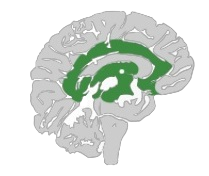Proporciona opciones para Captar el Interés | Genially