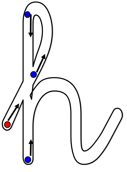 TRAZO LETRA H | Genially