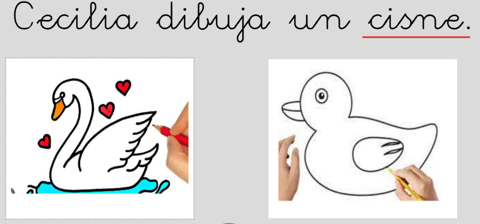 LEEMOS Y COMPRENDEMOS FRASES LETRA CE CI