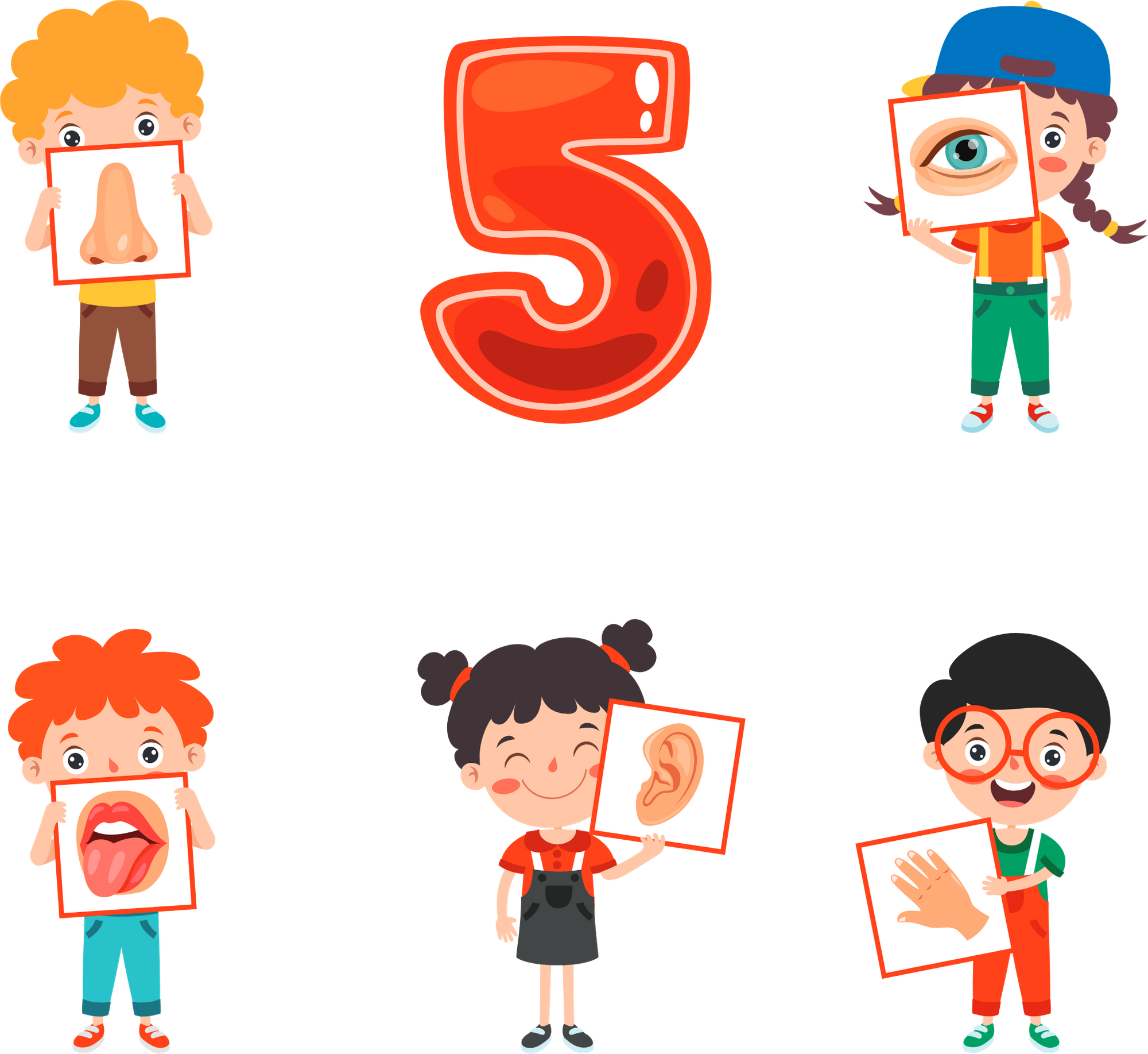 Los cinco sentidos. @nsuamar