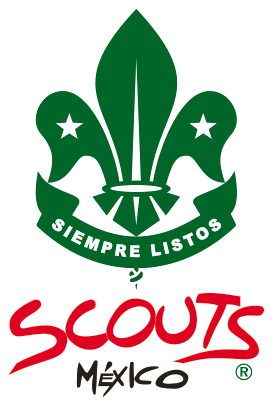 Panorama del Movimiento Scout | Genially