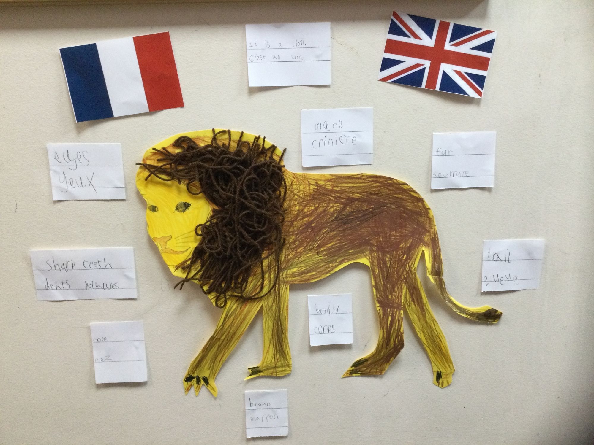 Languages week doors