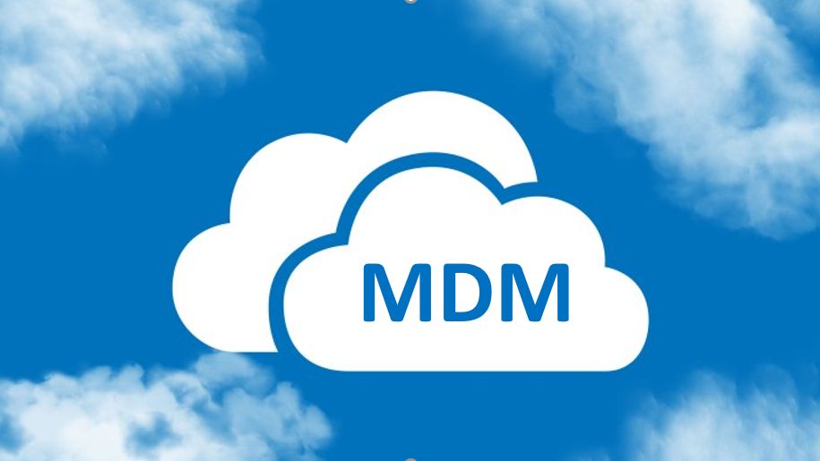 PROCESOS Y PRACTICAS DE TI EN MDM | Genially
