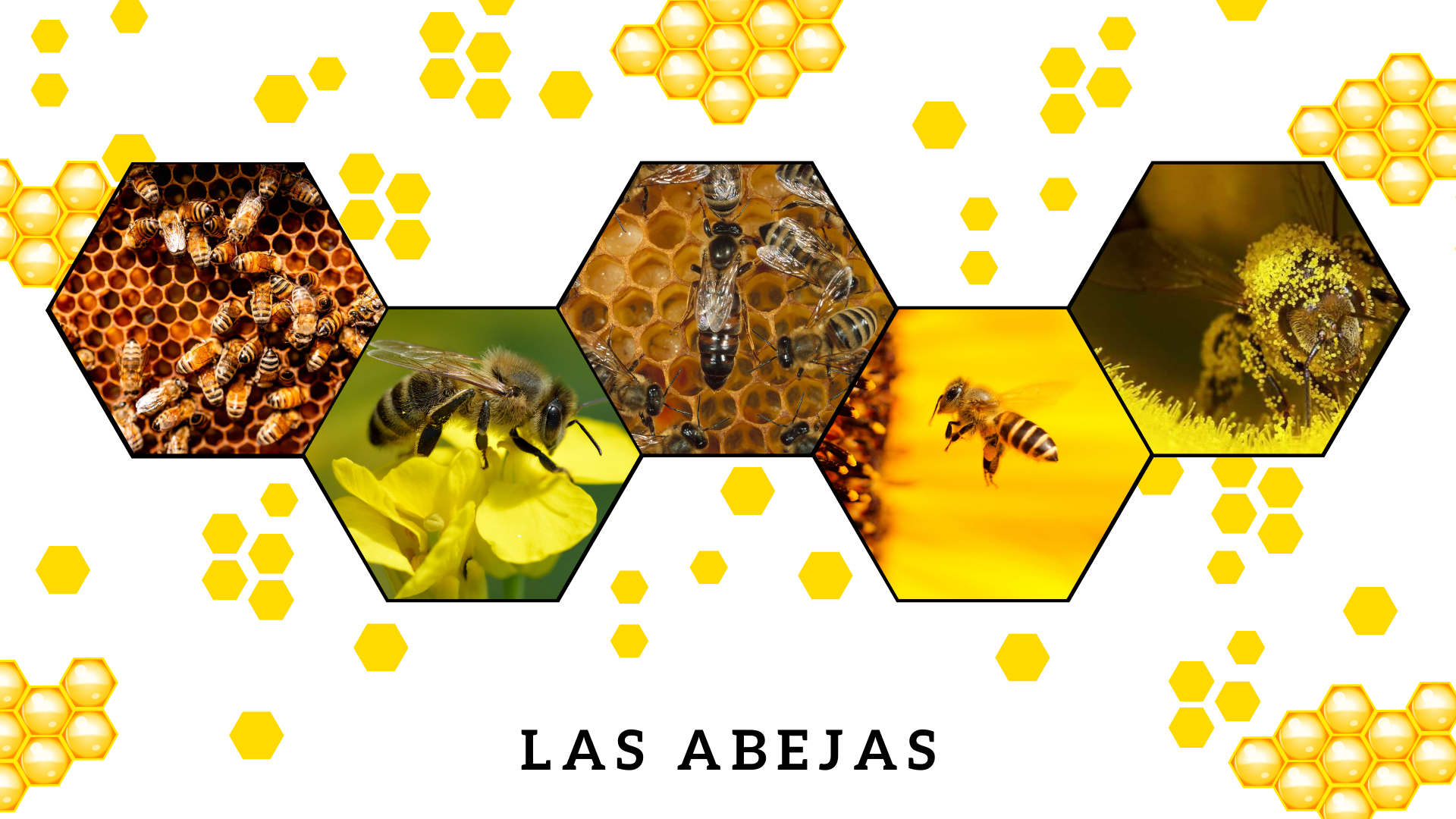 Las Abejas