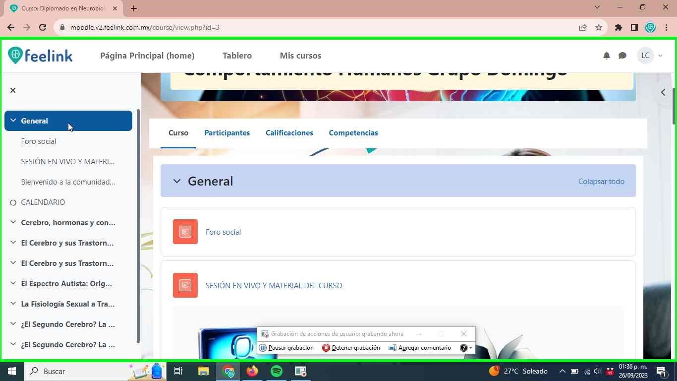 recorrido feelinker | Genially