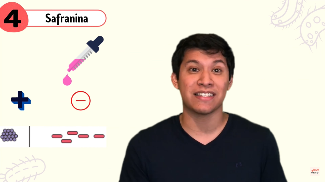 TINCION DE GRAM | Genially