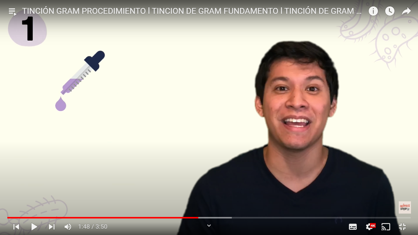 TINCION DE GRAM | Genially