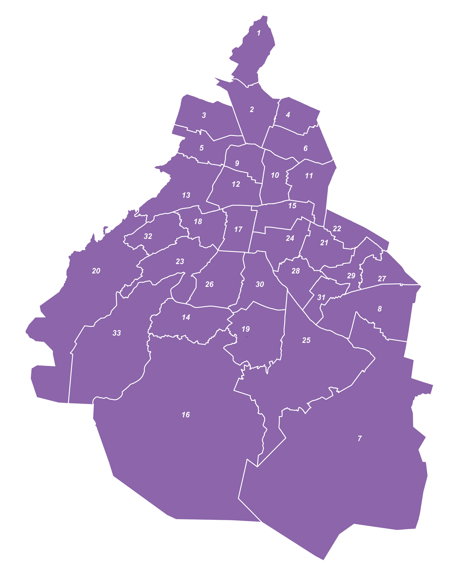 Mapa interactivo_Distrito_Electorales_Locales | Genially