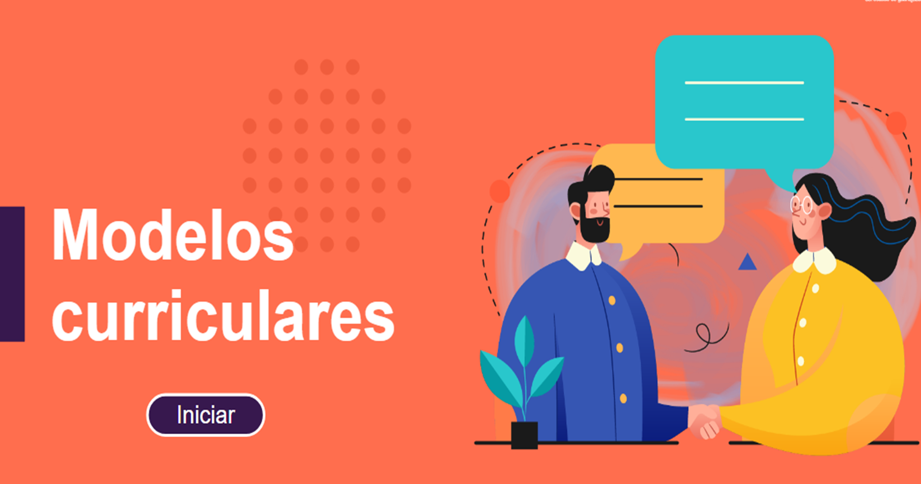 modelos curriculares 2