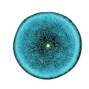 Our Universe Scavenger Hunt | Genially