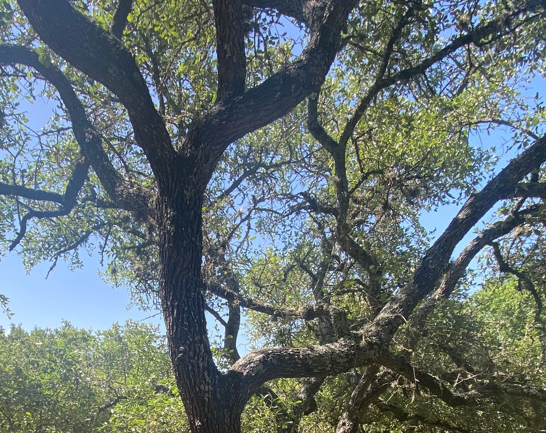 Summer 23 Sexual Orientation | Genially