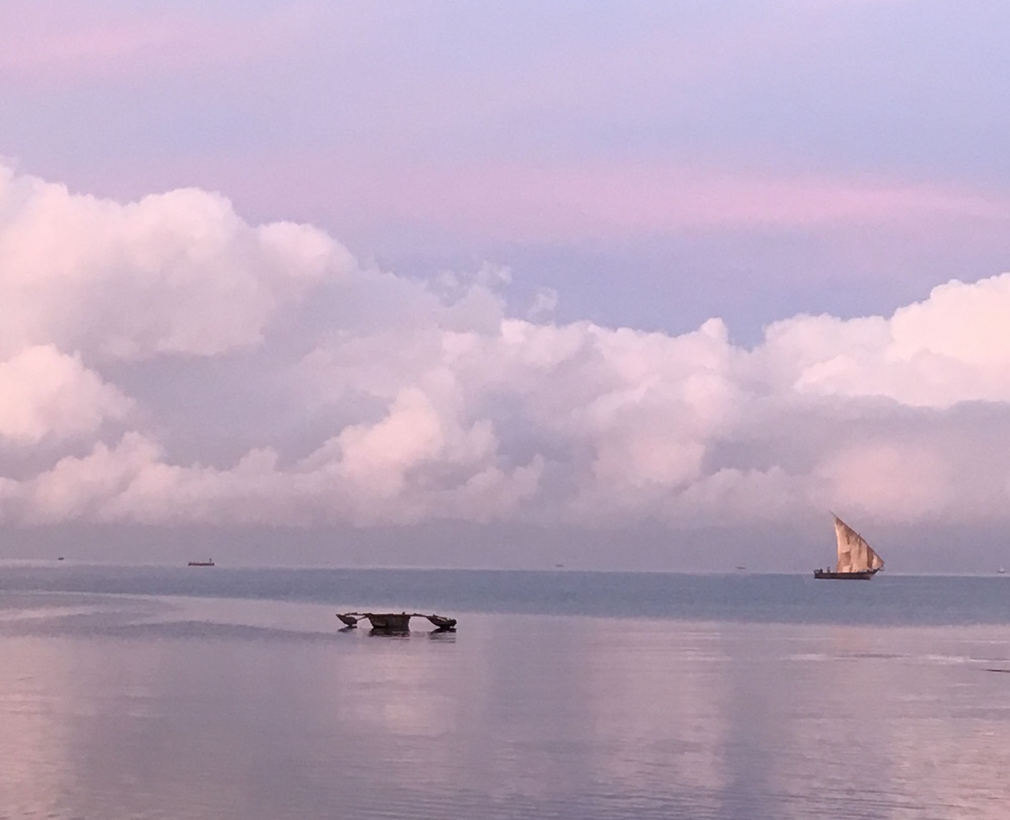 Spring 2024: Sex Ed History | Genially