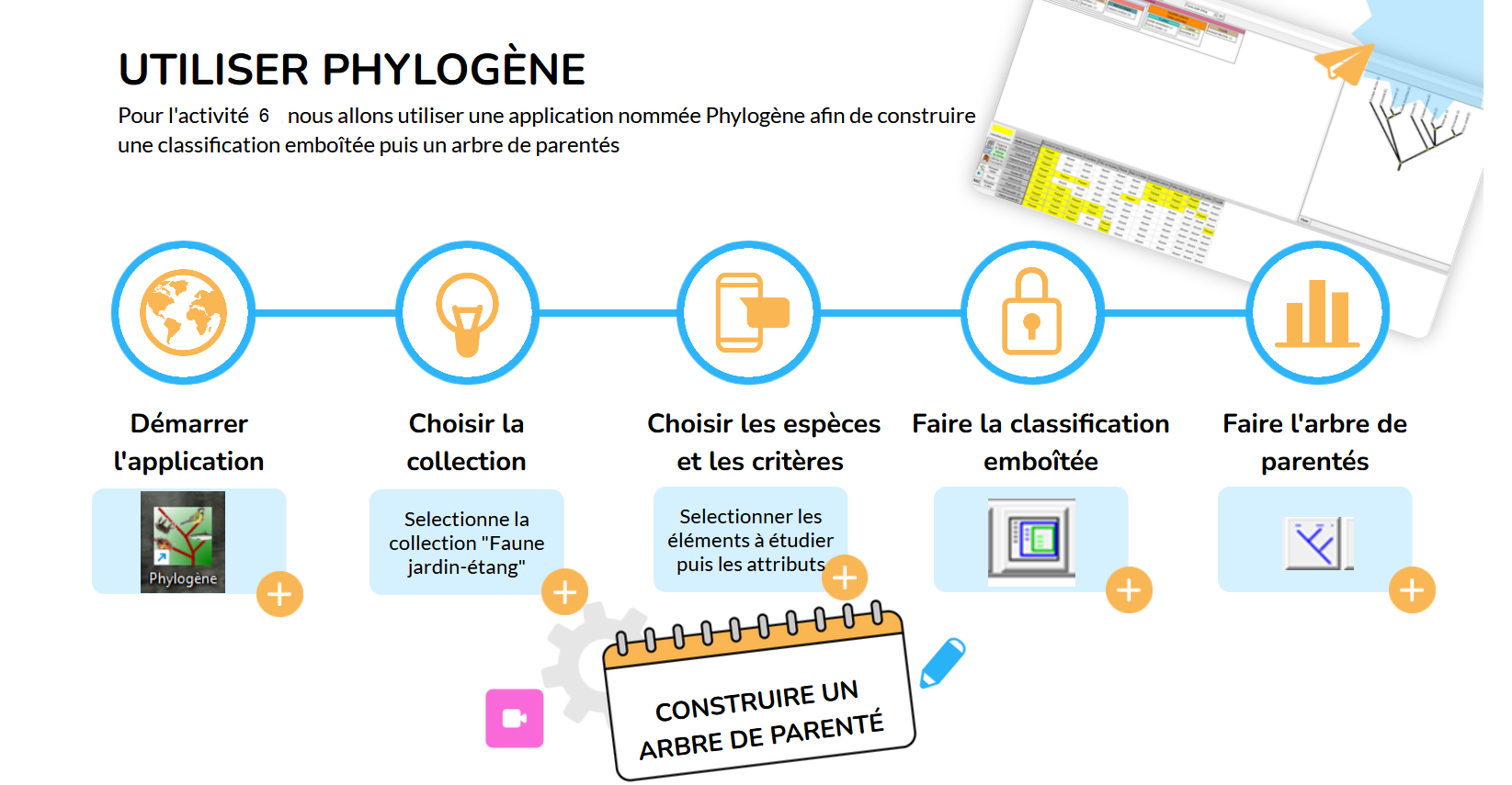 utilisation phylogène | Genially