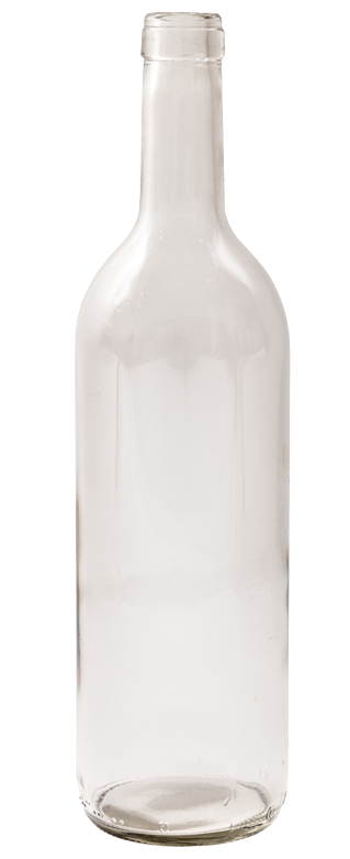 Netegem el mar | Genially