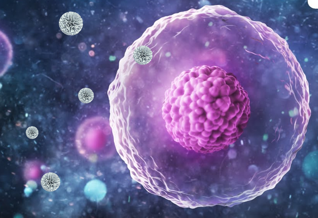 2nd Partial Rev LBT224 P2024 | Genially