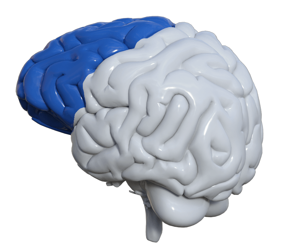 (DUA) CASO PRÁCTICO | Genially