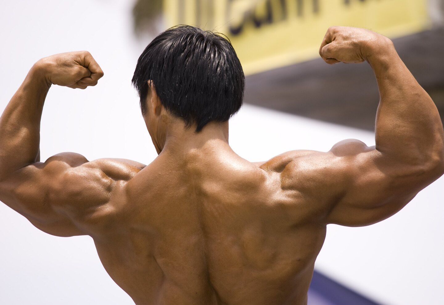 LS 4: APPEARANCE | Genially