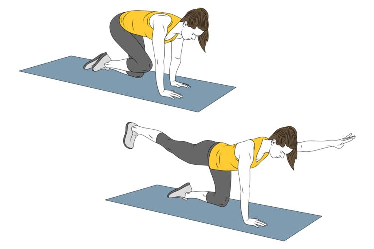 DASHBOARD DIGITAL BÁSICO