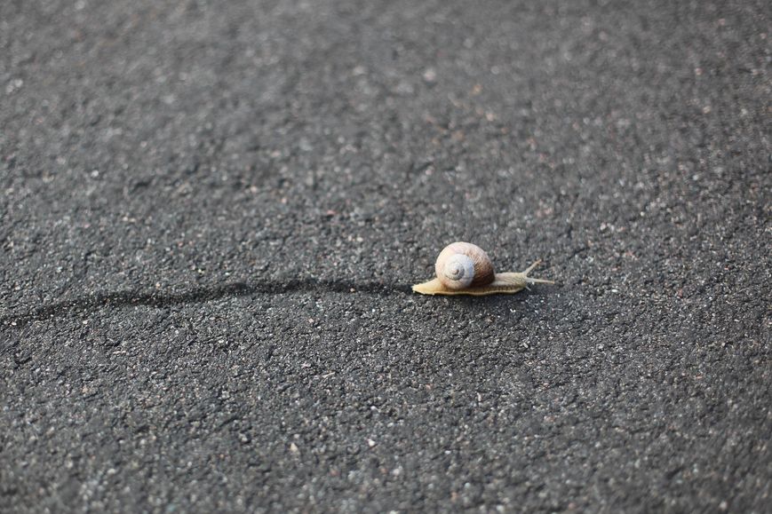 6ème : matérialiser une trajectoire | Genially