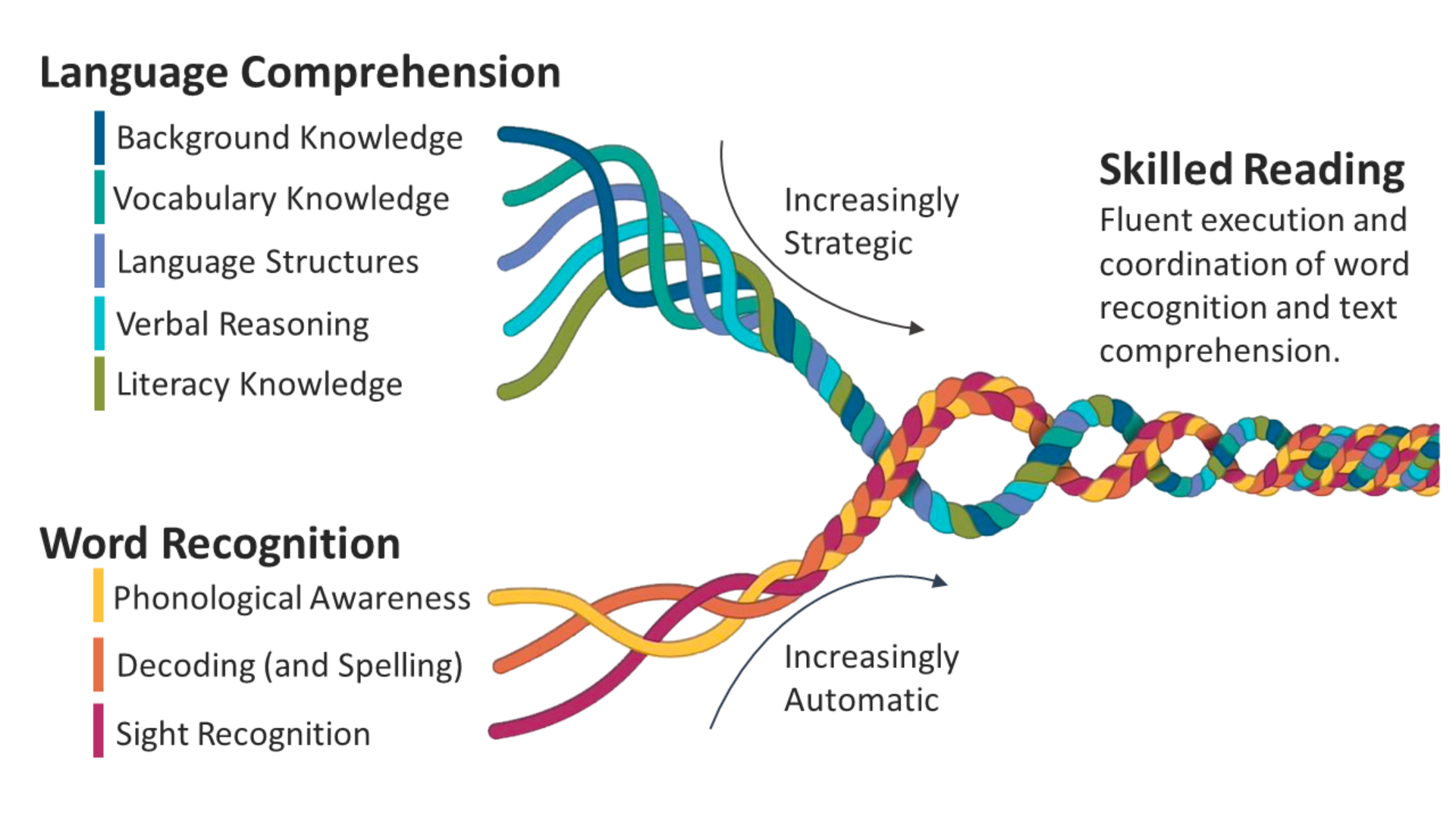 Roadmap to Reading | Genially