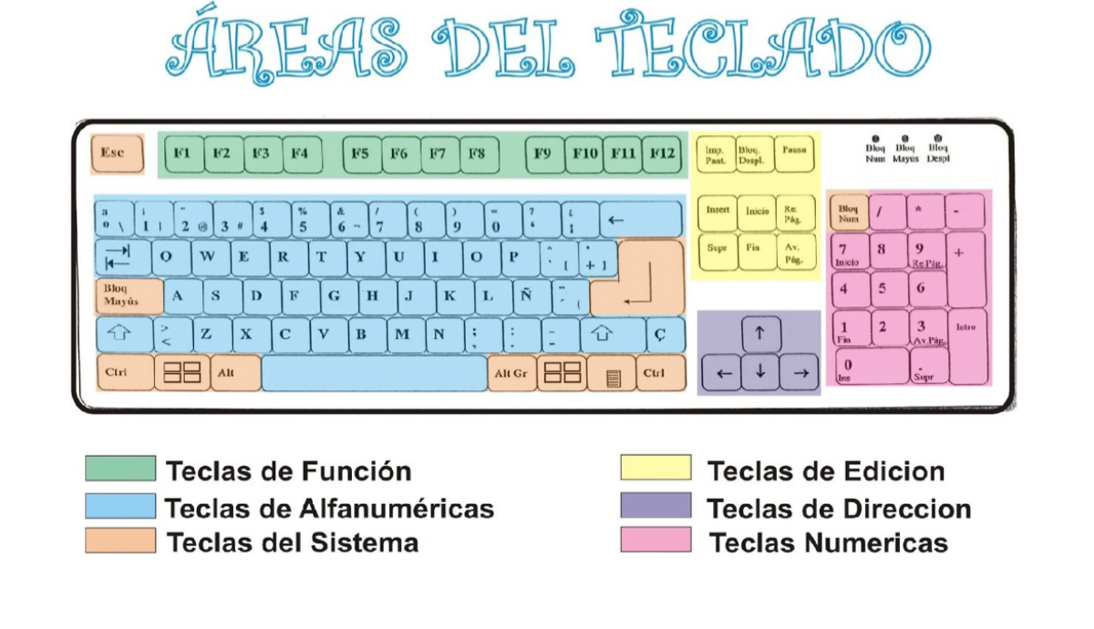 Partes del teclado