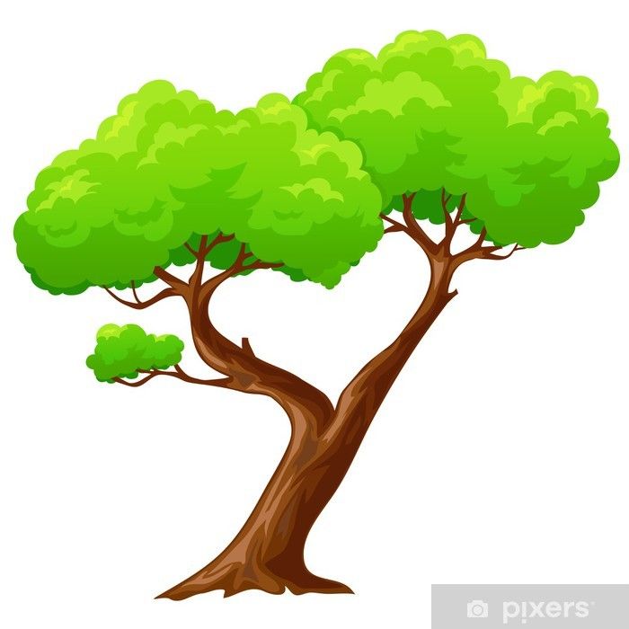 ¿CUÁL EMPIEZA POR P?