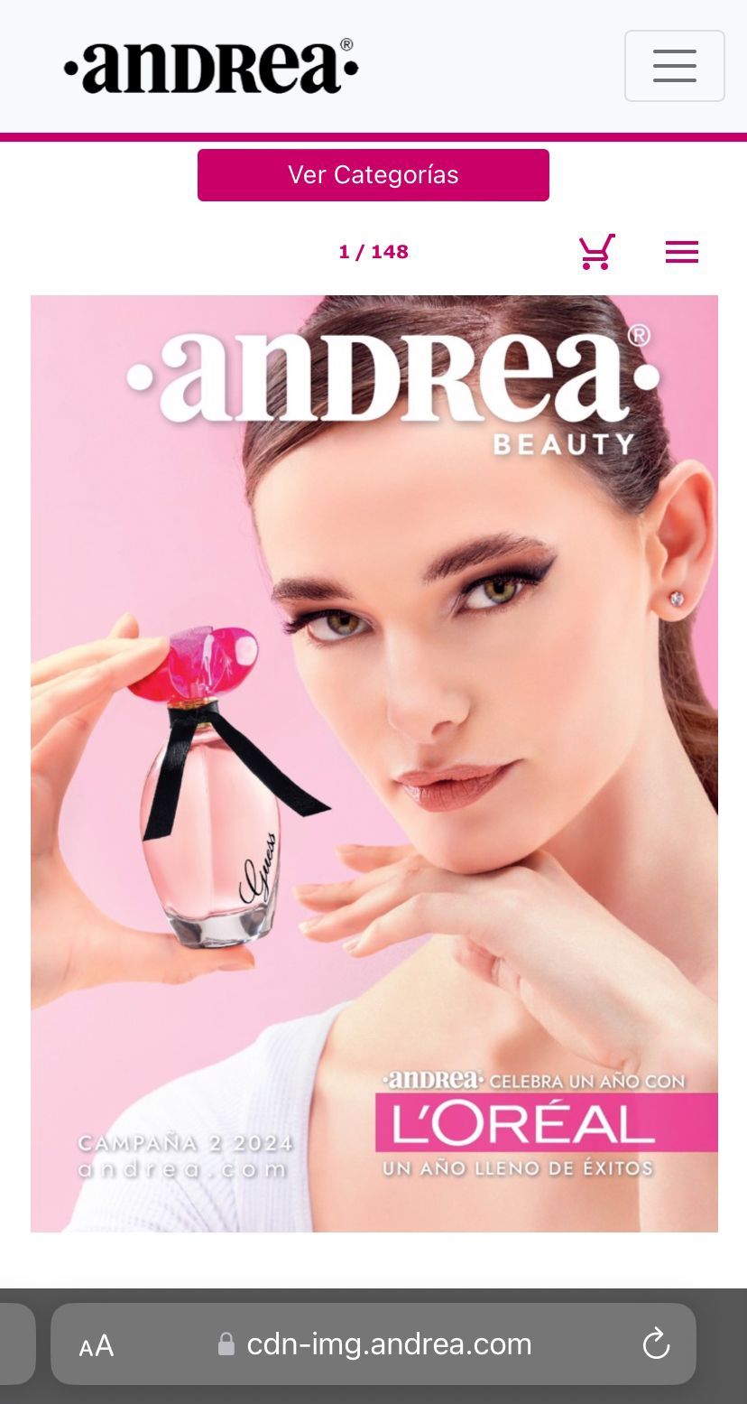 A5_MIRDA_Mapa mental