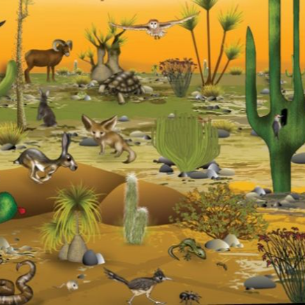 Explora los ecosistemas 4to