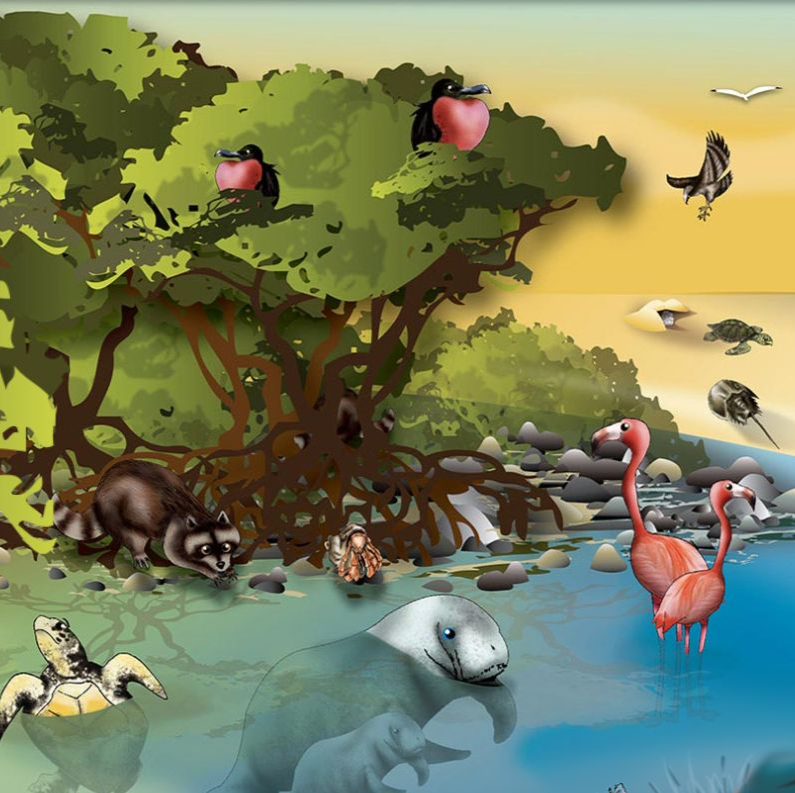 Explora los ecosistemas 4to