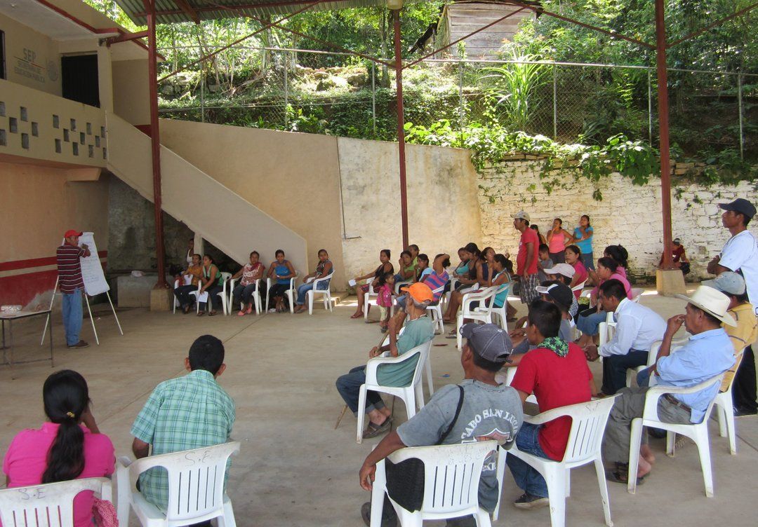 SECTOR COMUNITARIO Y ASOCIATIVO | Genially