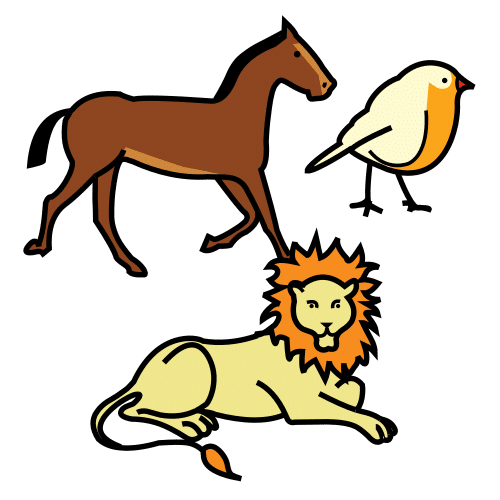 TEST ANIMALES FOTOS | Genially