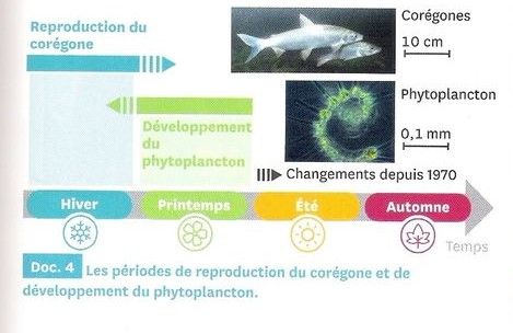 Elsa Simon's Instagram, Twitter & Facebook on IDCrawl