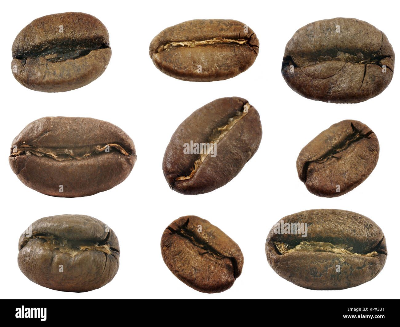 Séance 1 | Genially