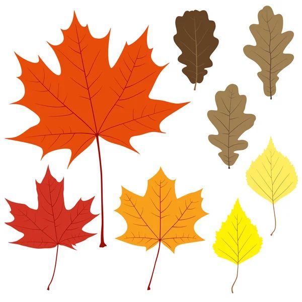 Séance 1 | Genially