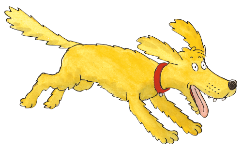 Floppy's Phonics Words