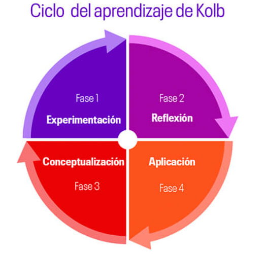 Ciclo De Aprendizaje De Kolb Infografia – eroppa Ciclo De Aprendizaje De Kolb Infografia – eroppa