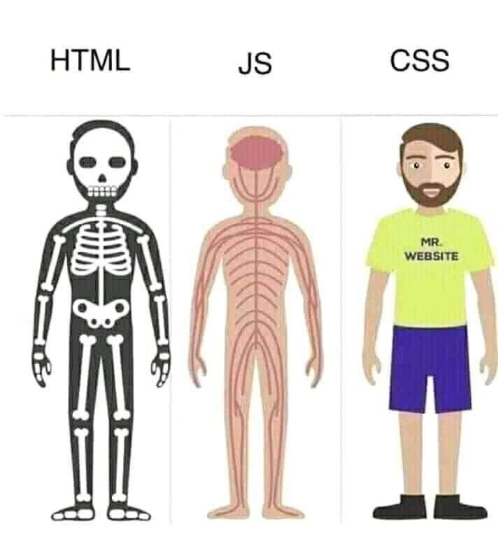CSS AND HTML DIFFERENCE
