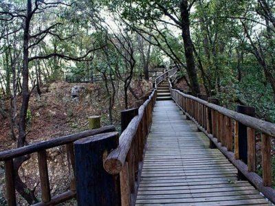 EQUIPO4_VCOI2_EV1 | Genially