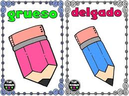 Grueso delgado Ancho angosto