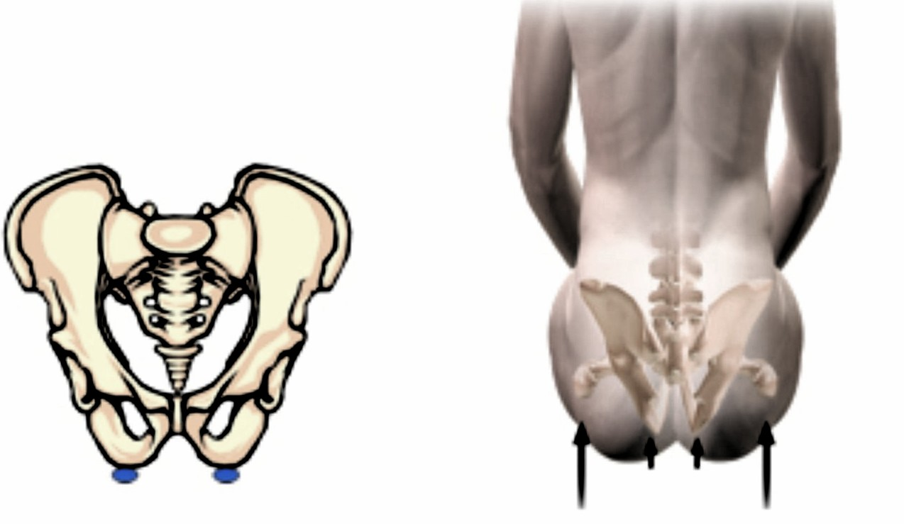 INFO ISQUION POSTERIOR | Genially