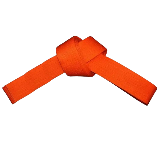 Irregular verb belts | Genially