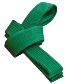 Irregular verb belts | Genially