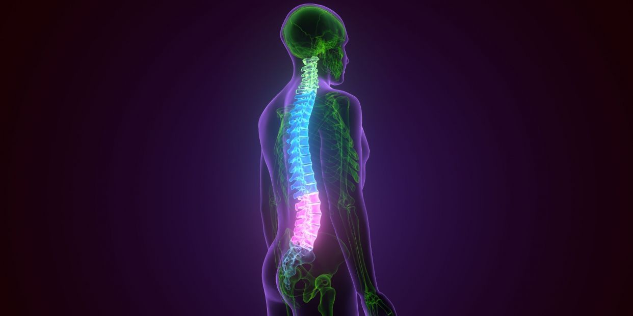 Nervios espinales o raquídeos | Genially